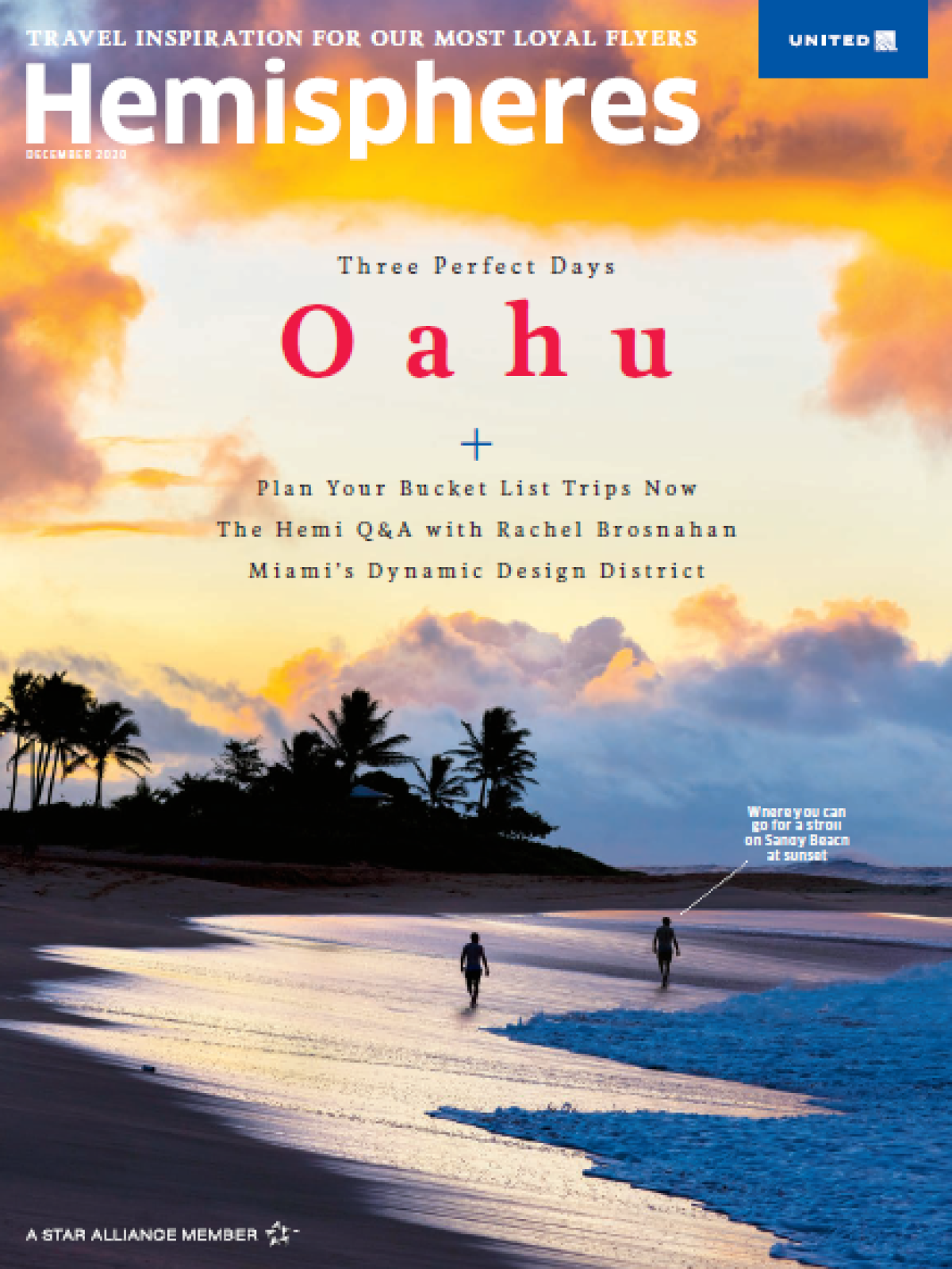 Discover Sarasota Tours | Sightseeing Trolley Tours in Sarasota, FL