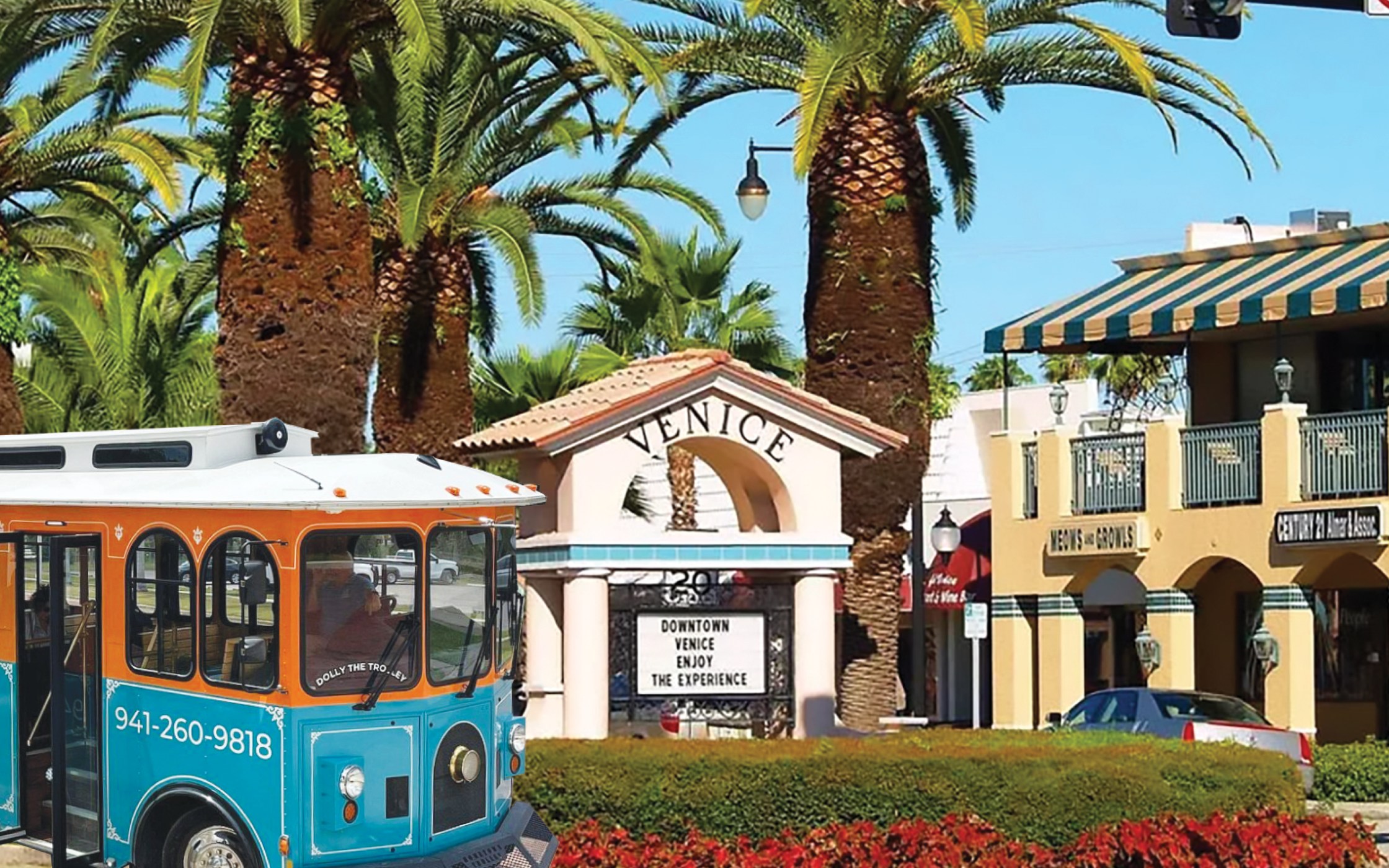 Venice City Sightseeing Tour | Discover Sarasota Tours